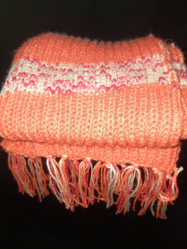 Promoting Woolen Stuff in Dehradun – DNM